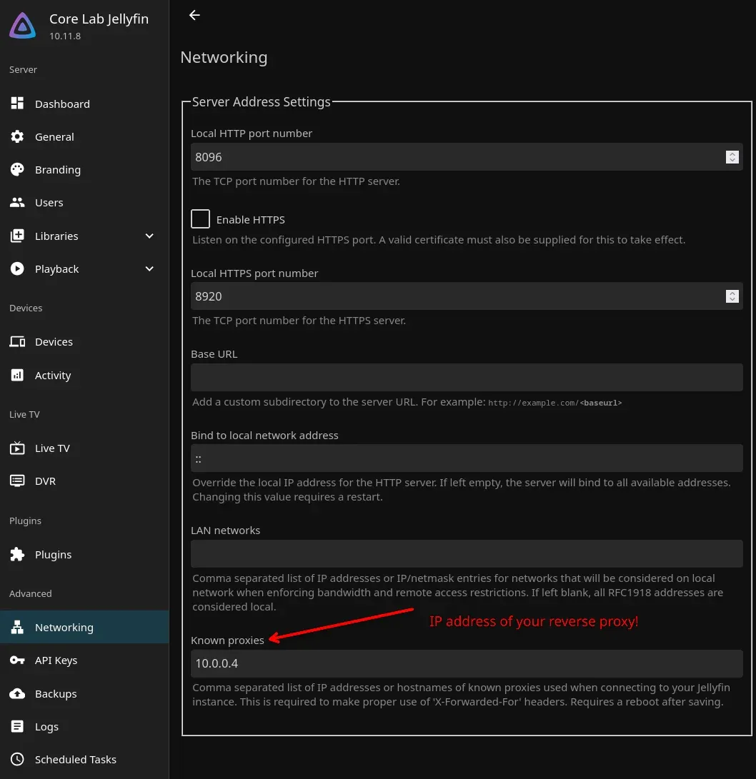 Secure Jellyfin with HTTPS: Reverse Proxy Guide (SWAG, NPM & Traefik)